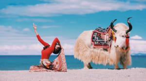 Thời Điểm Đẹp Đi Tây Tạng - Mà Bạn Nhất Định Phải Nhớ